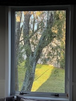 Suíte júnior, vista para o jardim | Vista para o jardim