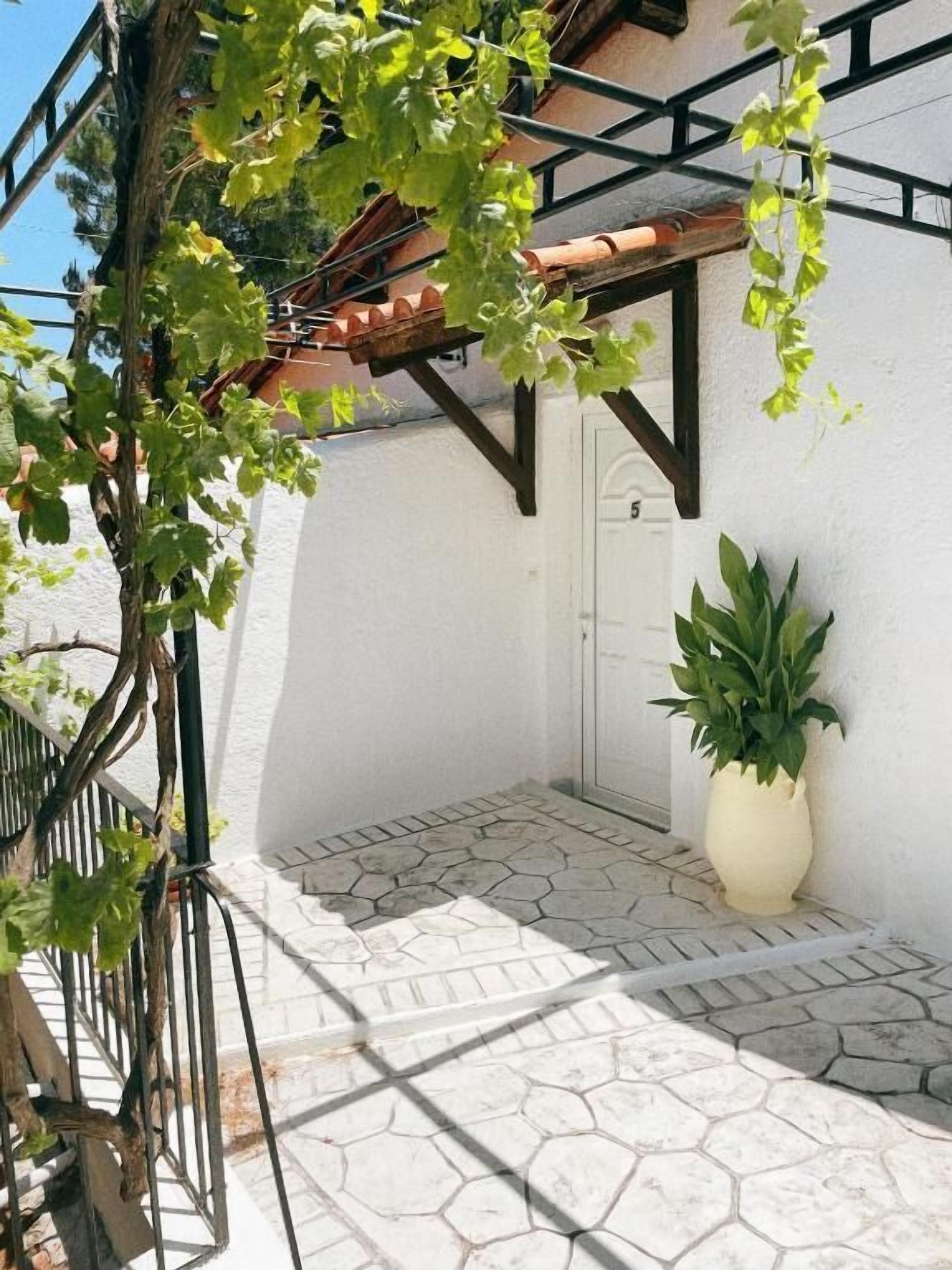 Uma área externa coberta com piso de azulejos, um vaso de planta e uma porta.