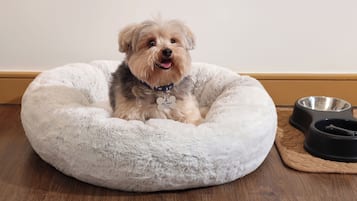 Um cão pequeno numa caminha fofa e branca sobre um chão de madeira, com uma tigela de metal para cães e um tapete castanho por perto.