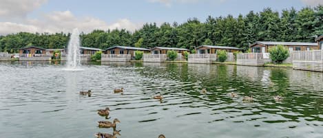 Casa de campo | Área da propriedade