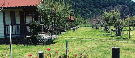 Bungalow, vista para o jardim | Terrenos do alojamento