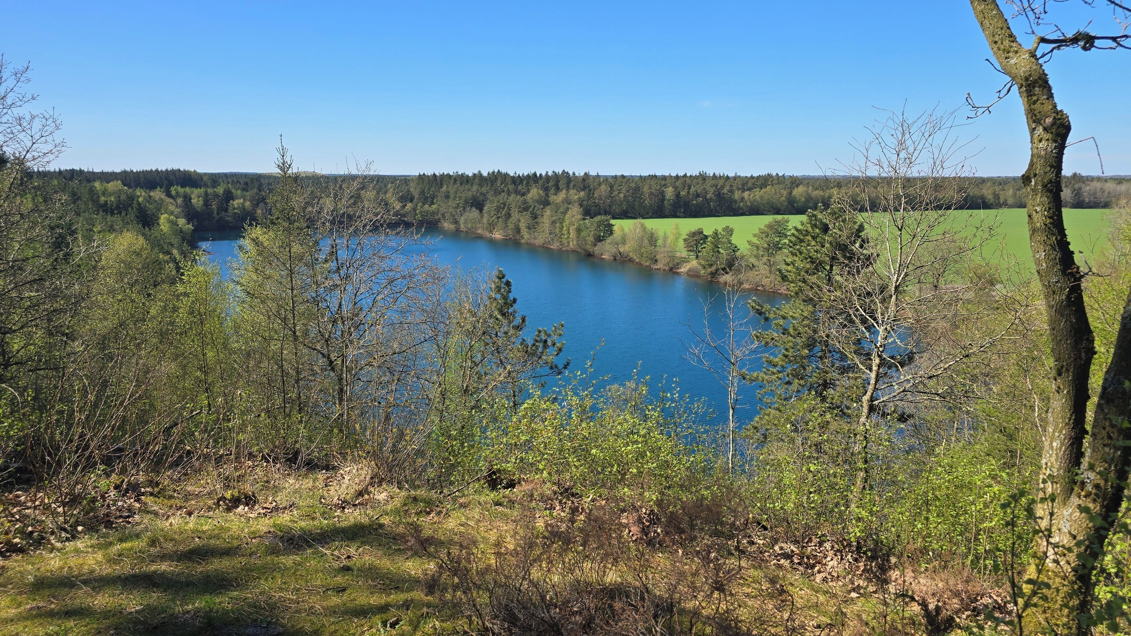 Um lago rodeado por árvores e grama.