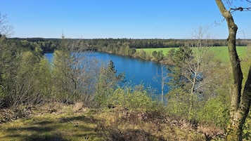 Um lago rodeado por árvores e grama.
