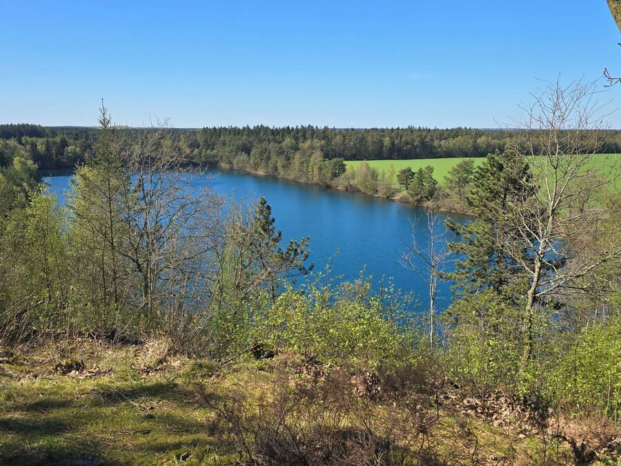 Um lago rodeado por árvores e grama.