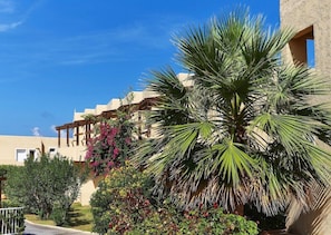 Um resort com palmeira, pérgola e um edifício com fachada bege.