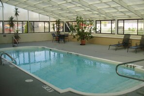 Piscina interior com água cristalina, rodeada por cadeiras e plantas em vasos, sob teto de vidro.