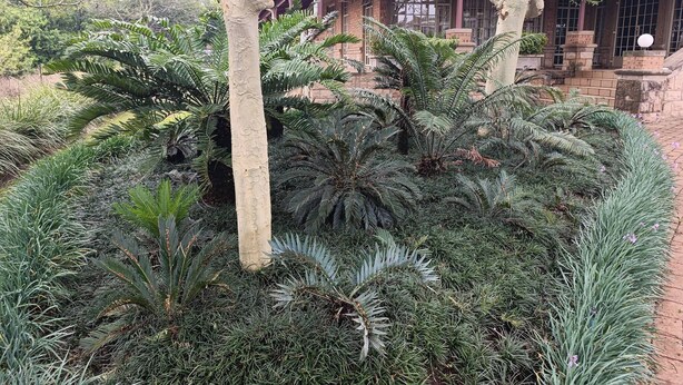Um edifício com fachada de tijolos, rodeado por vegetação exuberante e árvores.