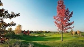 Golfe