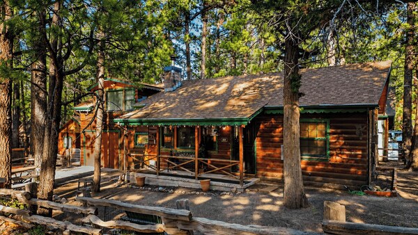 The Nut House By Avantstay Wooded Cabin + Game Room + Arcade + Foosball Near Big Bear Lake + Bear Mountain + Village Shops - 캘리포니아