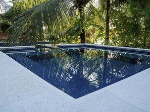 Piscina azul e límpida rodeada por vegetação exuberante e palmeiras.