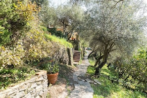 Um caminho de pedra serpenteia por um jardim com oliveiras e um muro de pedra de um lado.