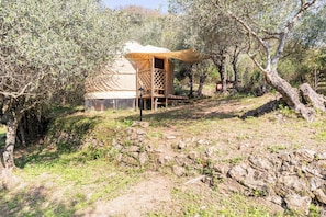 Uma yurta com porta de madeira entre oliveiras e uma parede de pedra.