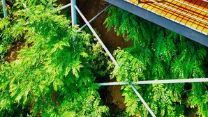 Uma casa moderna com fachada de vidro, uma rede no deck e vista para o verde ao redor.