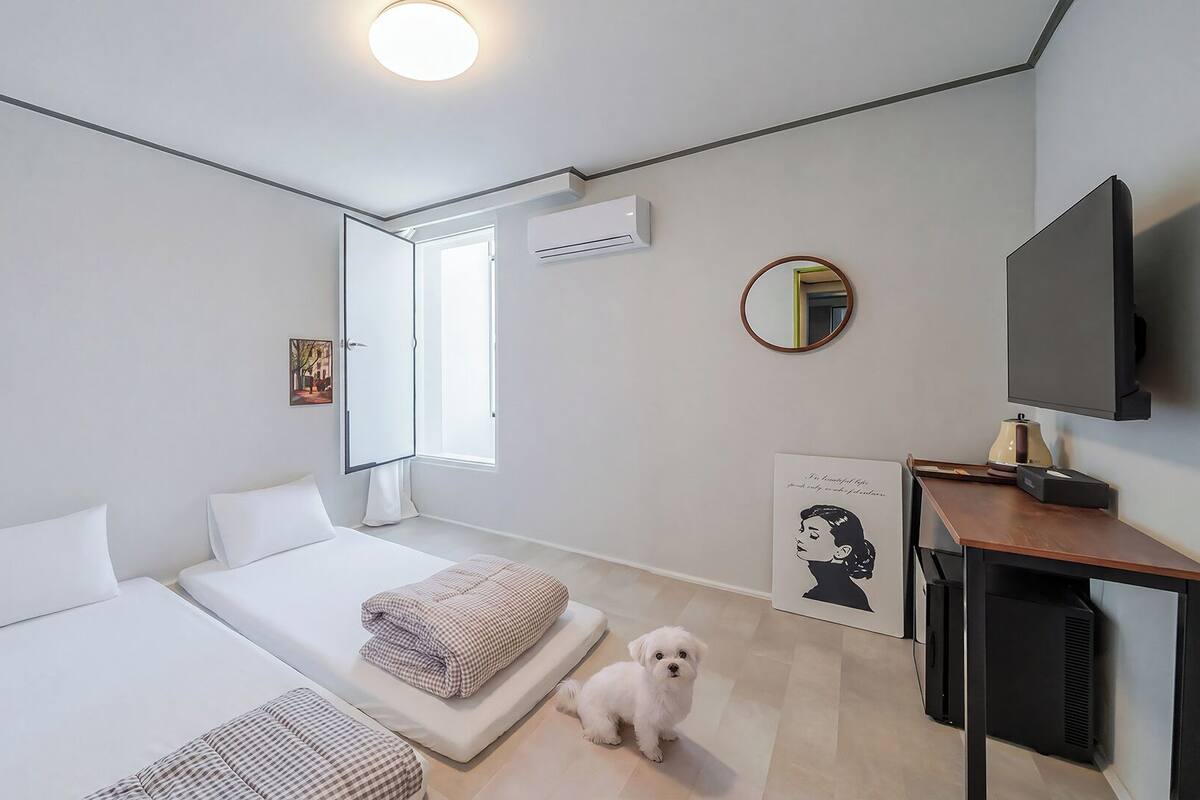 Quarto com cama, escrivaninha, televisão, um cão pequeno e janela.