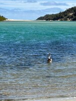 Visão clara de uma praia com águas calmas, faixa de areia e uma colina distante coberta por vegetação.
