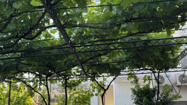 Uma área externa coberta com estrutura metálica, possivelmente uma pérgula, e vista para um edifício com aparelhos de ar condicionado.