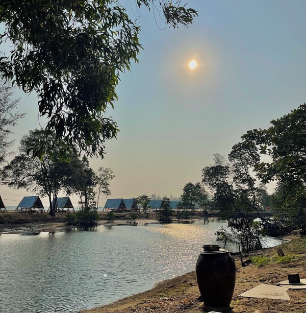 Hoa Tigon Hon Mot - Phú Quốc