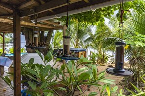 Área externa coberta com piscina, deck de madeira e diversas plantas.