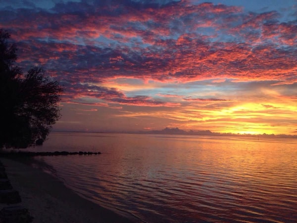 Charming 1br Guesthouse In Beautiful Moorea - French Polynesia
