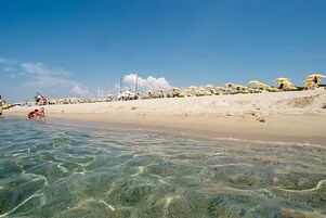 Uma praia com águas calmas e transparentes, extensa faixa de areia e diversos guarda-sóis amarelos.