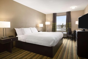 Quarto de hotel com cama, duas mesas de cabeceira com luminárias, escrivaninha com cadeira, televisão e janela com cortinas.