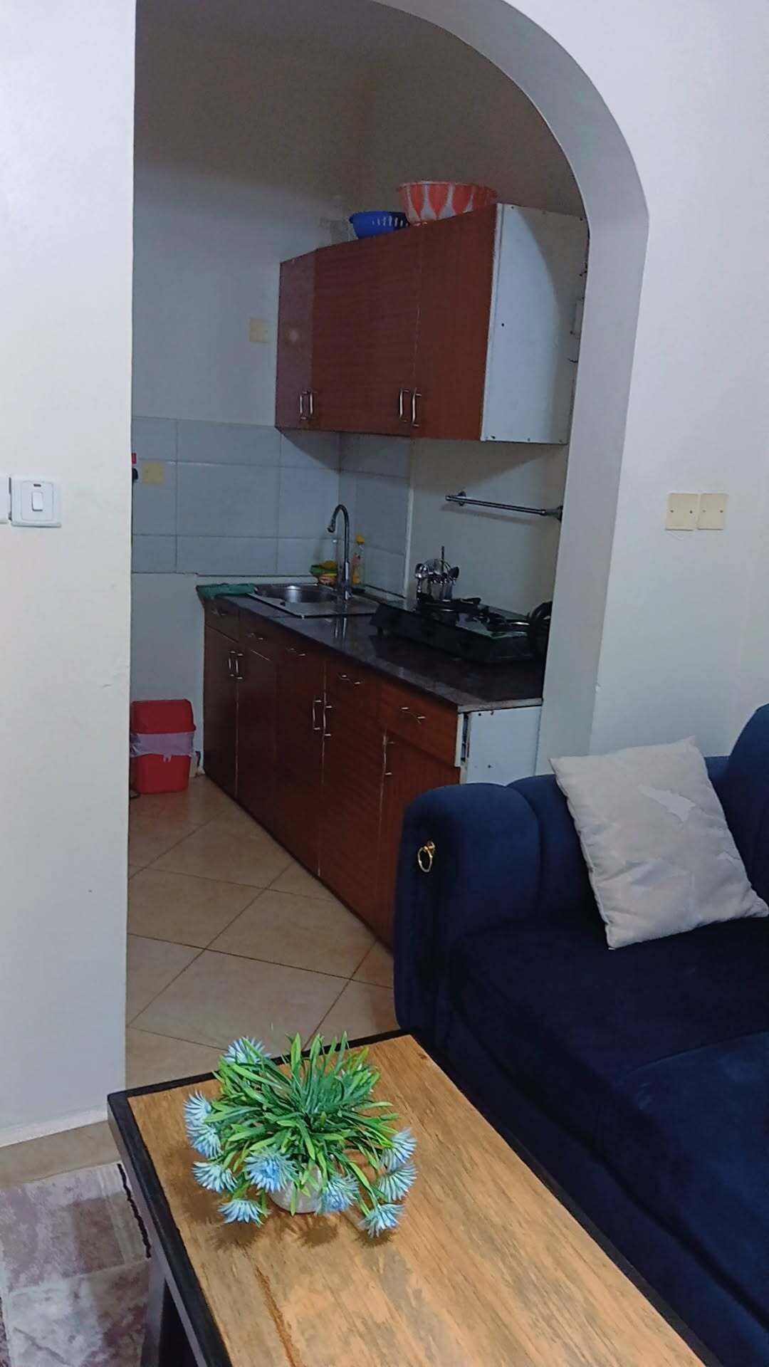 Um espaço compacto com cozinha compacta, um sofá e uma pequena mesa com uma planta.