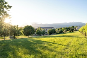 Uma paisagem rural com uma casa, árvores e um campo gramado.