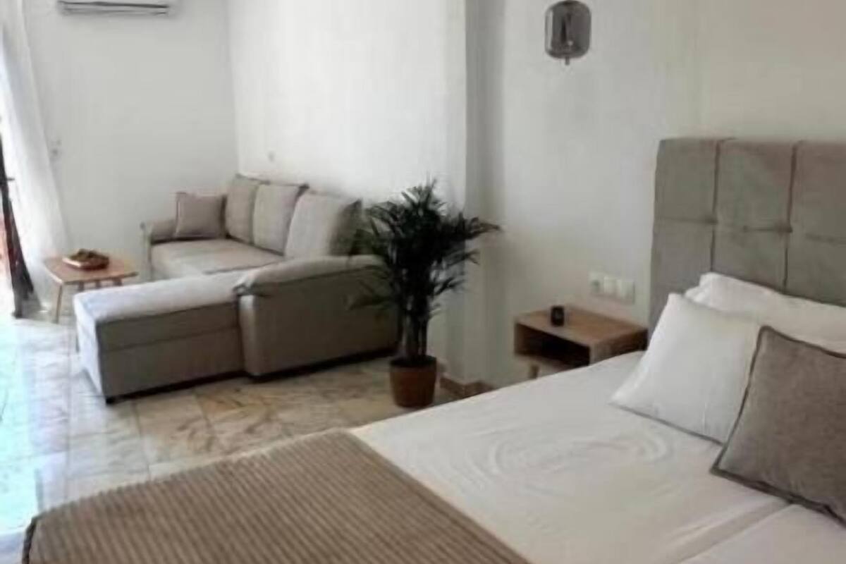 Quarto de hotel moderno com uma cama grande, um sofá, uma mesinha e um vaso de planta.