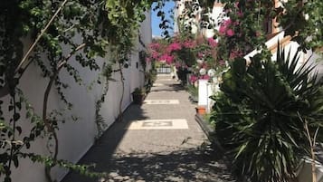 Terrenos do alojamento