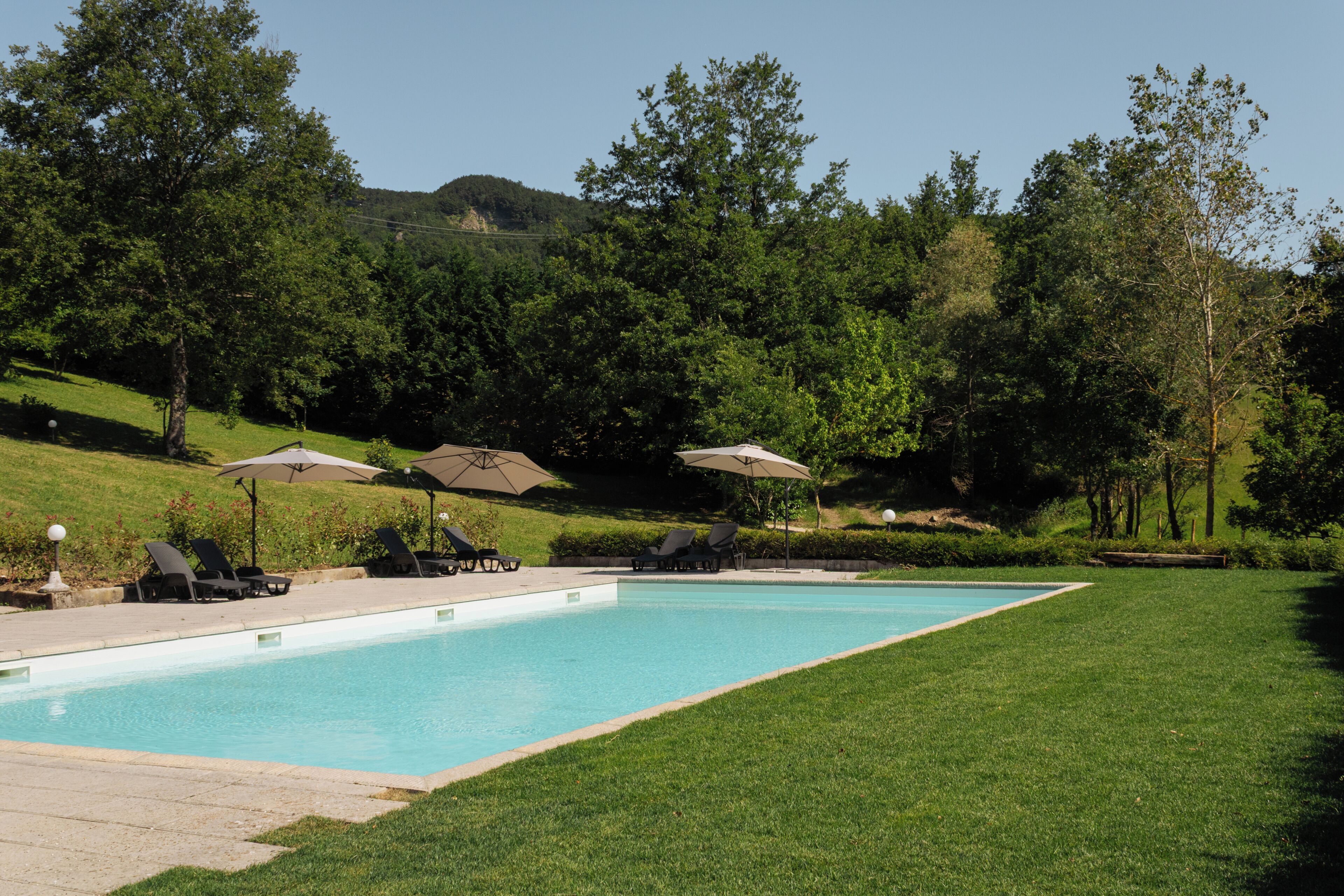 Piscina com cadeiras de praia e guarda-sóis, rodeada por grama e árvores.