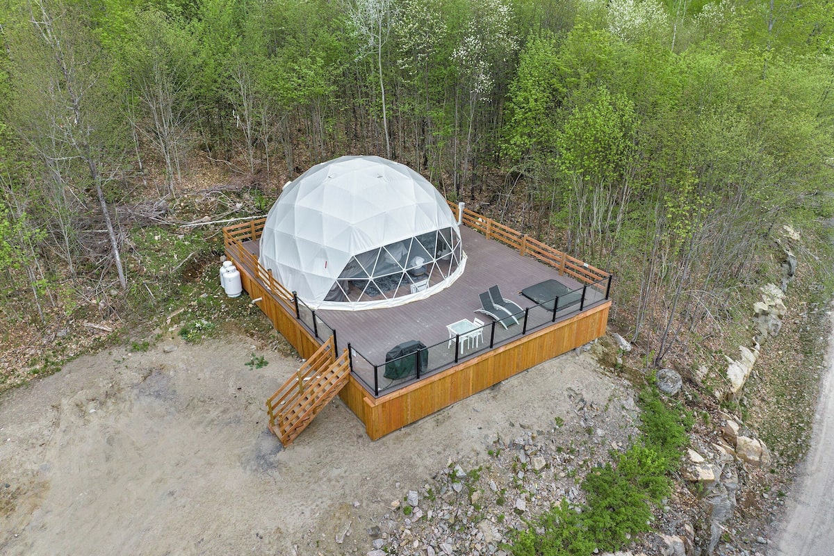 Uma estrutura em forma de cúpula com terraço, assentos e vista para a floresta ao redor.