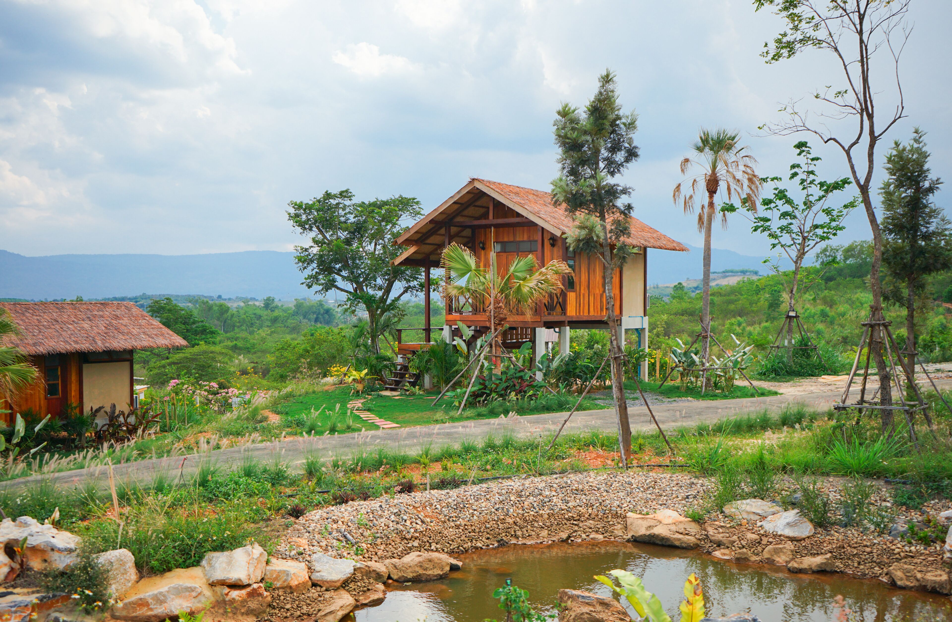 Deluxe Bungalow | Vista para a montanha