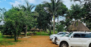 Vista para o parque