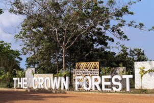 Um sinal com a inscrição 'THE CROWN FOREST', rodeado por árvores e uma cerca estampada.