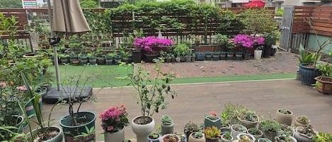 Terraço/pátio
