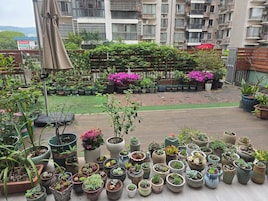 Jardim no terraço com vasos de plantas diversas e uma pequena área ajardinada.