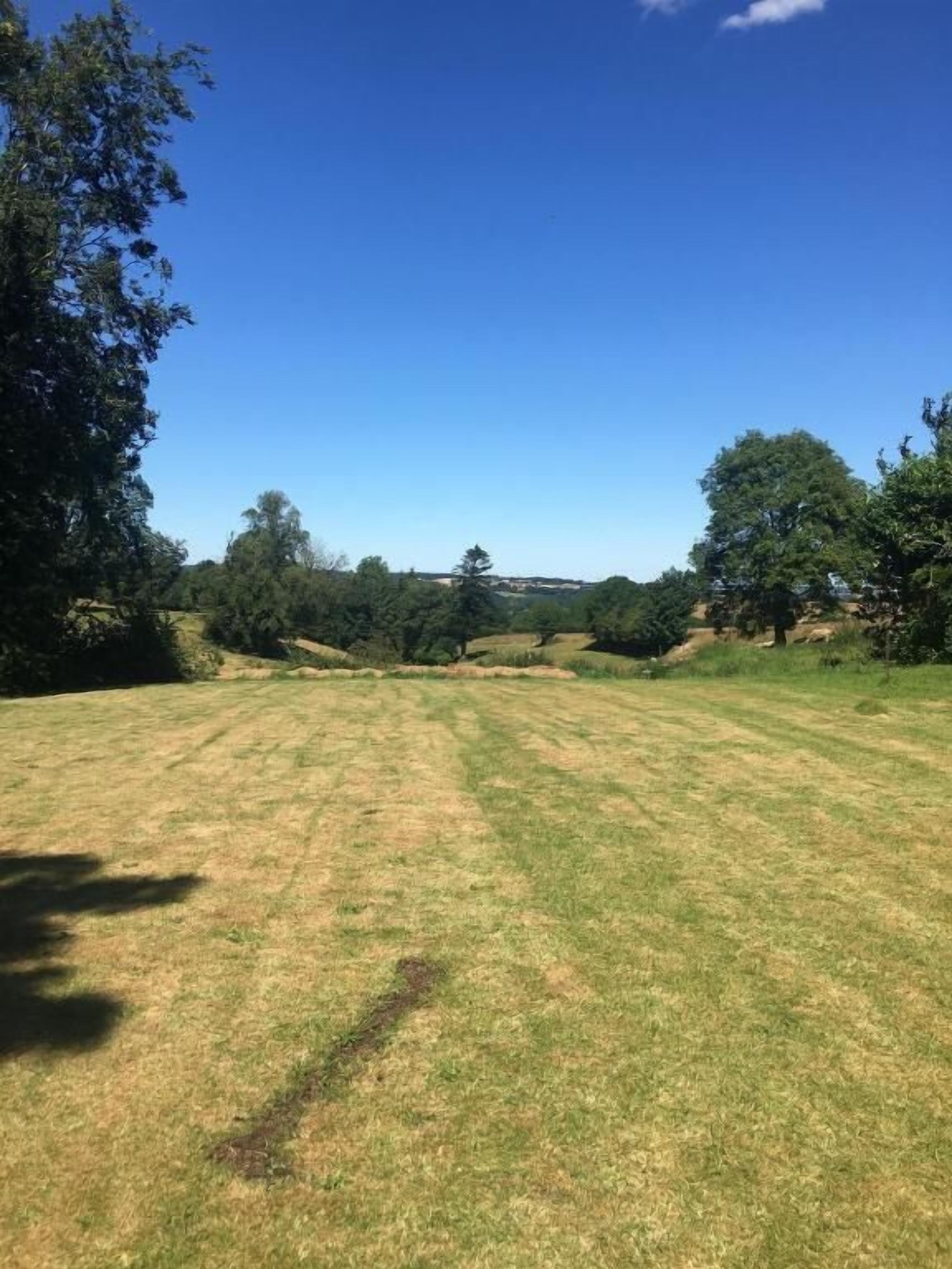 Um campo gramado com árvores e um céu azul claro.