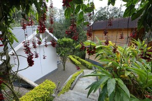Casa de Campo Premium | Terrenos do alojamento