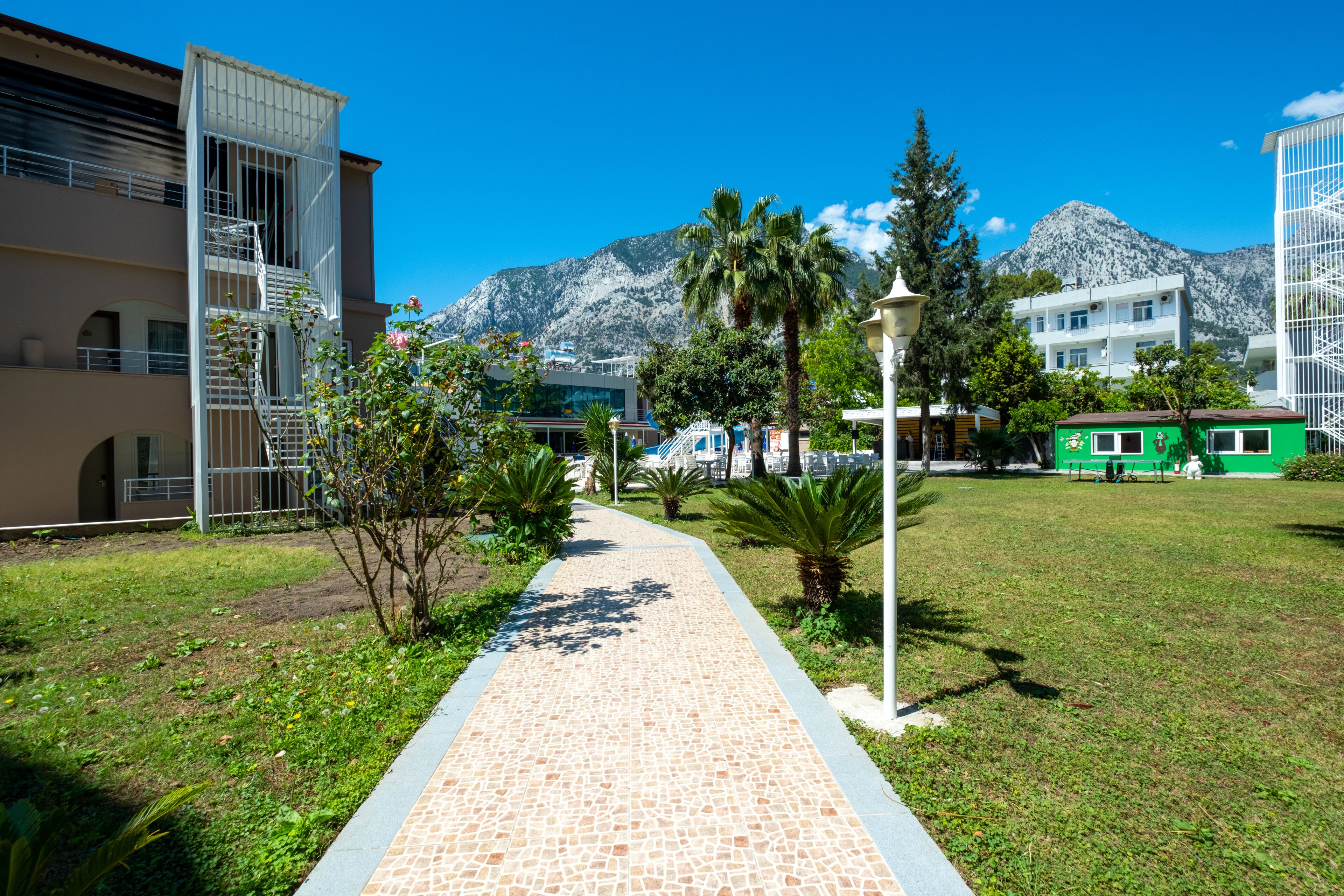Jardim