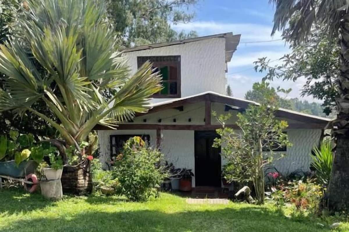 Uma casa de dois andares com varanda frontal, rodeada por um jardim bem cuidado com diversas plantas e uma palmeira.