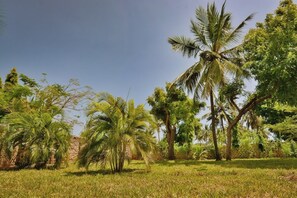 Jardim