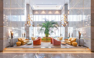 Um hall com área de estar, uma planta grande e um lustre moderno.