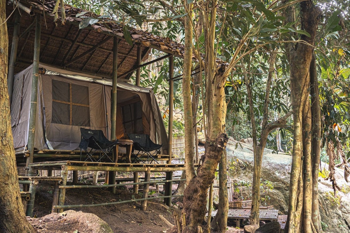 Uma cabana rústica na árvore, com telhado de palha, duas cadeiras e uma pequena mesa.