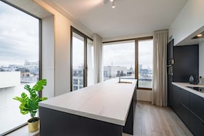 Apartamento elite, 4 quartos | Cozinha privada | Geladeira, micro-ondas, fogão, cooktop