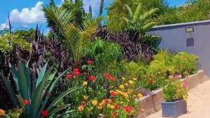 Um jardim com diversas plantas e flores, um caminho de concreto e um edifício cinzento ao fundo.