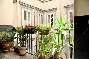 Pátio com vasos de plantas e portão preto.
