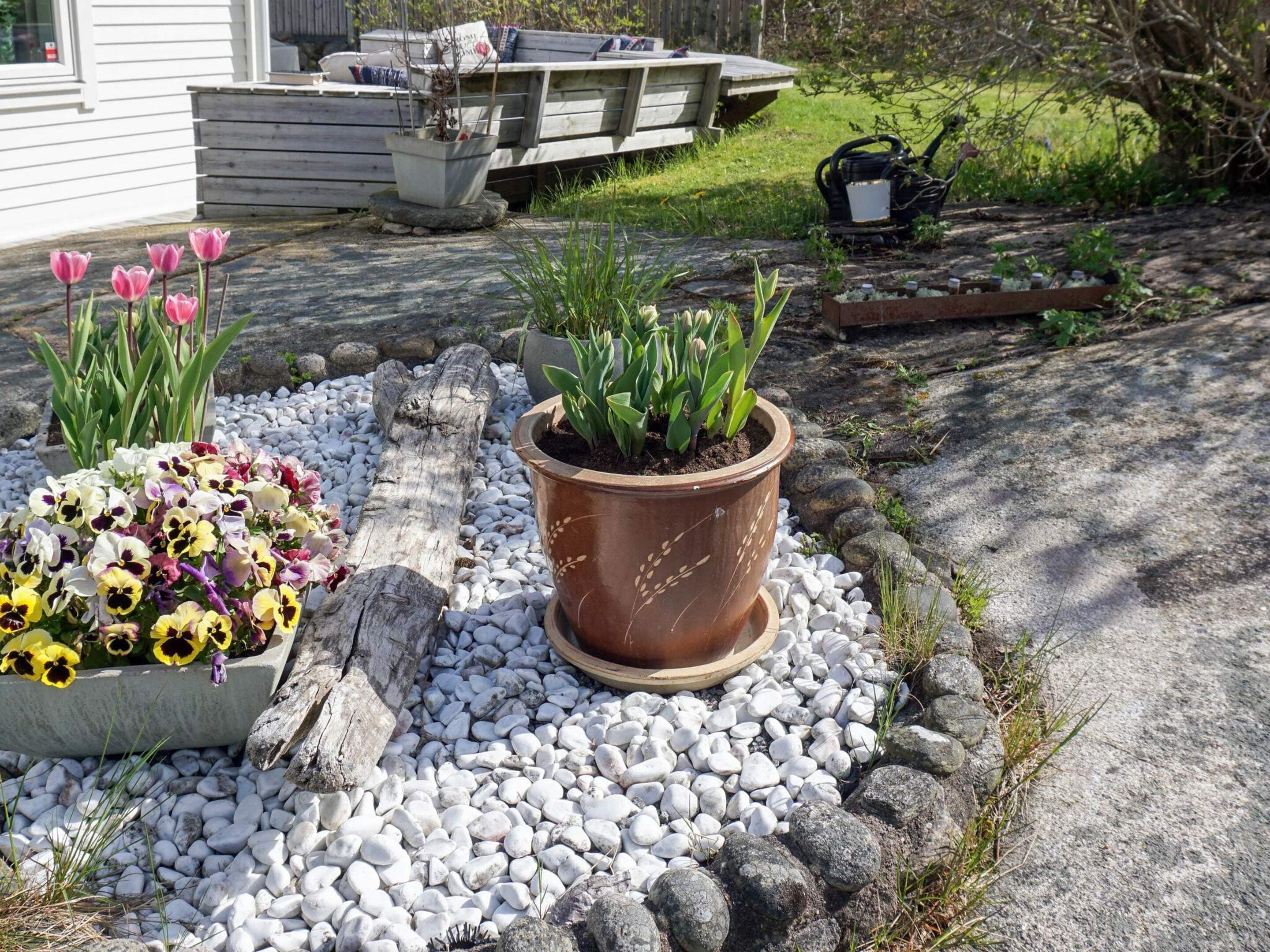 Um jardim com plantas em vasos e flores, um deck de madeira e um caminho de pedra.