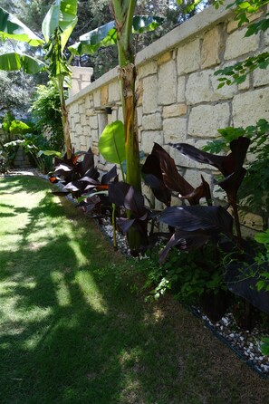 Pormenores do exterior