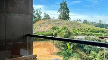 Apartamento, 1 quarto, acessível | Varanda