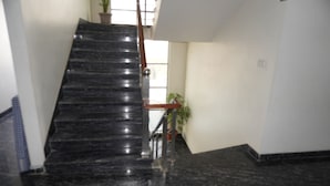 Uma escadaria com degraus de mármore preto, corrimão de madeira e uma planta em vaso no topo.